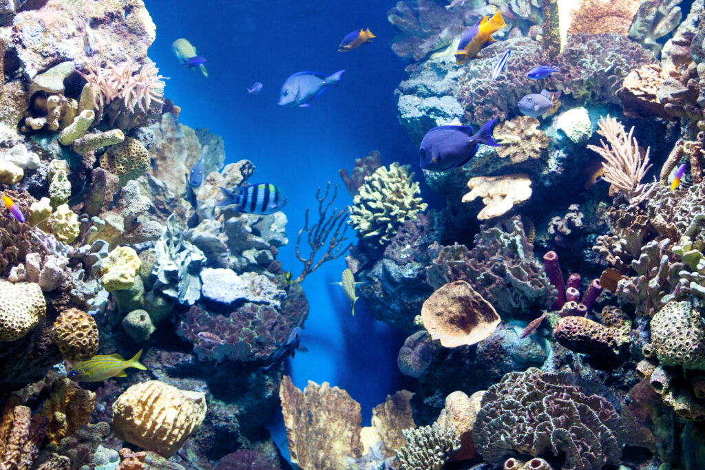 Marine Aquarium Chennai